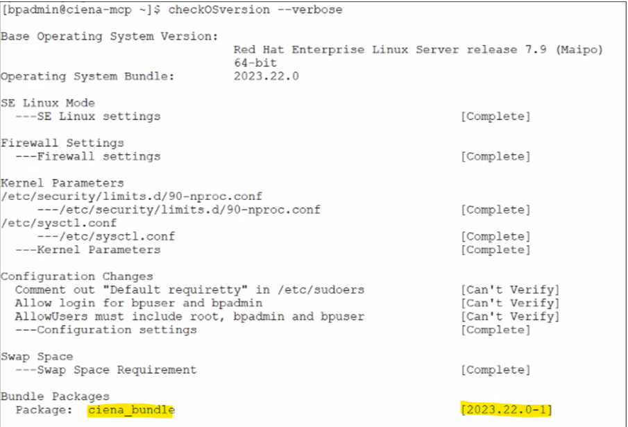 MCP: ciena_bundle package showing not installed in MCP server