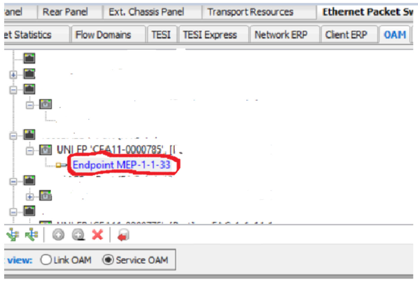 Z-Series: How to create a MEP on an EVPL service type.