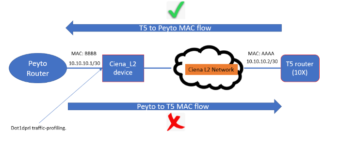 Saos10x Ip Neighbors Are In Failed State Due To Mal Configuration Of Traffic Profiling On L2