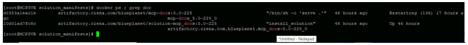 Mcp Unable To Launch The Mcp Helpdocs After P01 Upgrade Over The Mcp