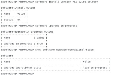 RLS: Software upgrade status commands
