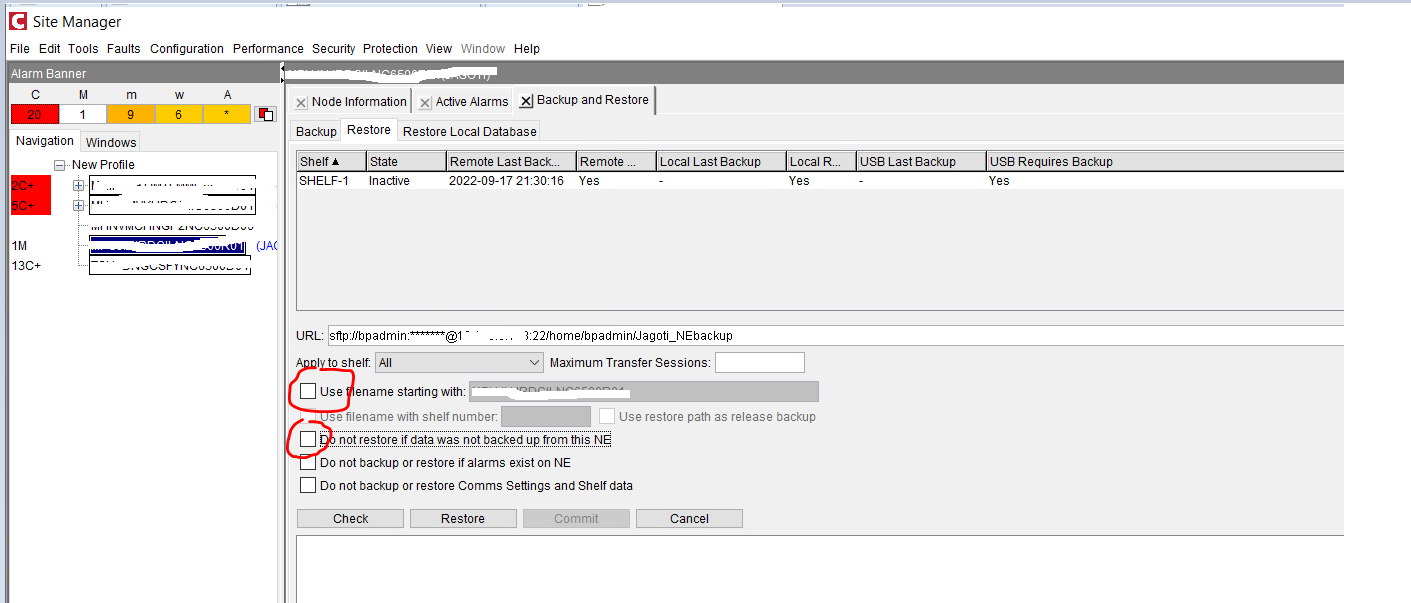 Mcp How To Fetch Db From Mcp And Restore It On 6500