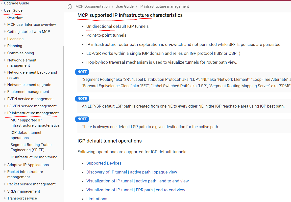 MCP: Support for a 'bidirectional' IP tunnel in MCP 5.3